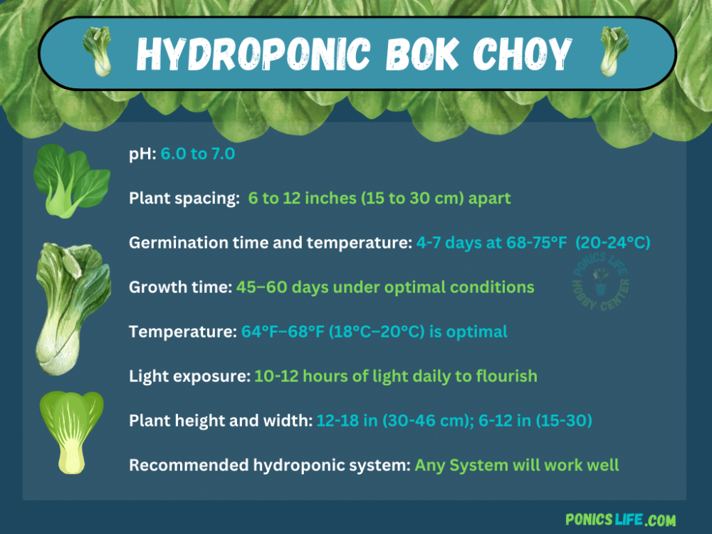 Hydroponic Bok Choy: A Quick and Easy Grow Guide