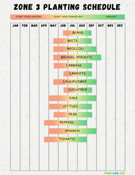 Colorado Vegetable Planting Calendar: A Quick and Easy Guide