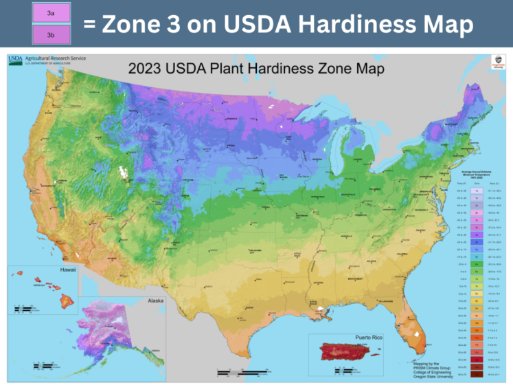 Zone 3 Planting Schedule and Calendar: A Quick Guide