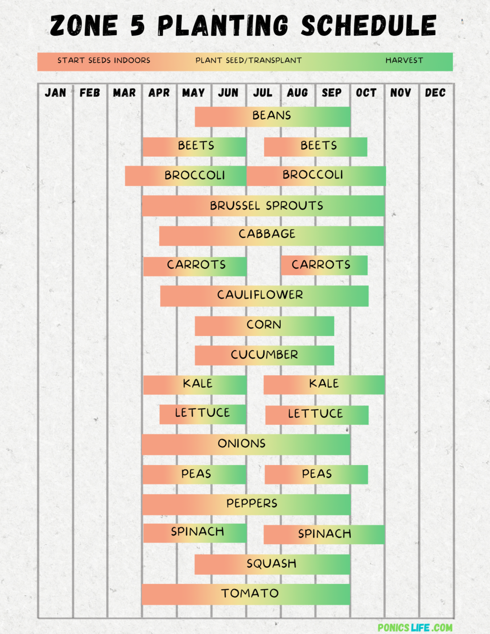 Iowa Vegetable Planting Calendar A Quick And Easy Guide Iowa Vegetable Planting Calendar A Quick And Easy Guide