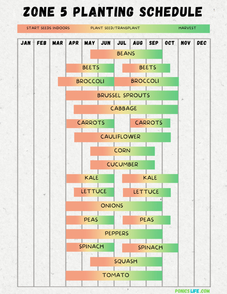 Zone 5 Planting Schedule And Calendar A Quick Guide Zone 5 Planting Schedule And Calendar A Quick Guide