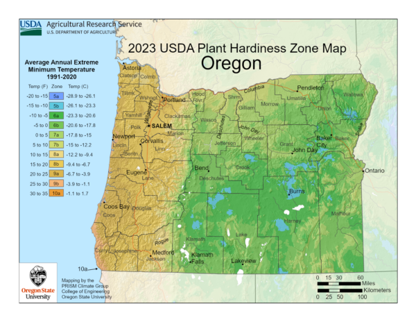 Oregon Vegetable Planting Calendar: A Quick and Easy Guide