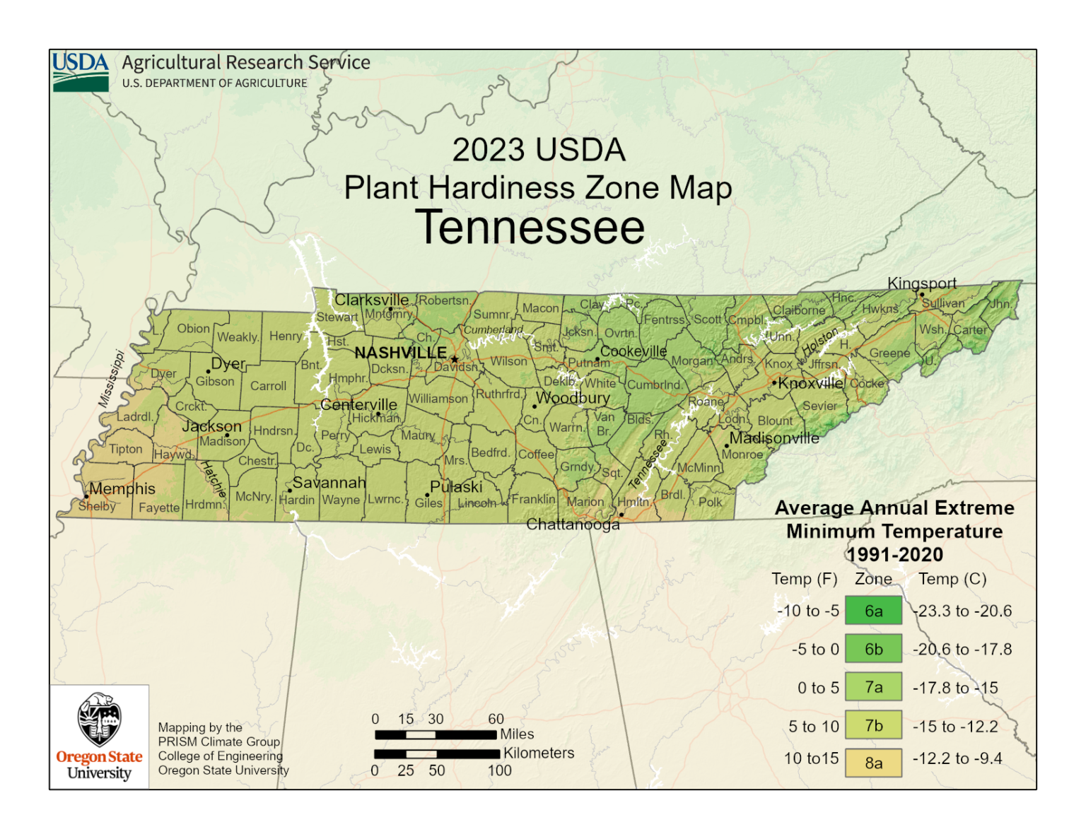 Tennessee Vegetable Planting Calendar: A Quick and Easy Guide