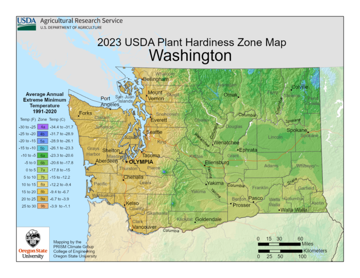 Washington Vegetable Planting Calendar: A Quick and Easy Guide