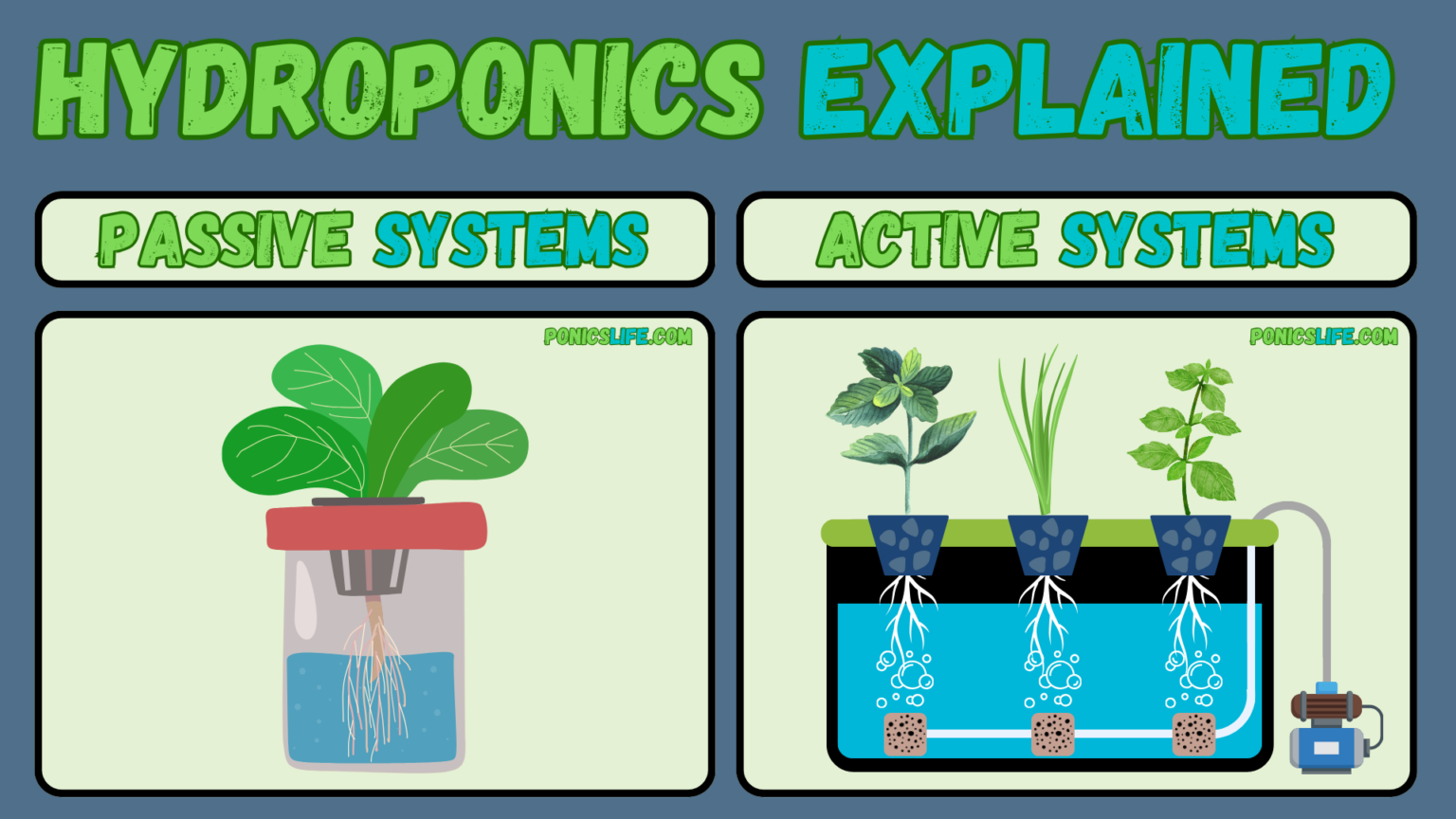 Hydroponics Hobby Center - Ponics Life