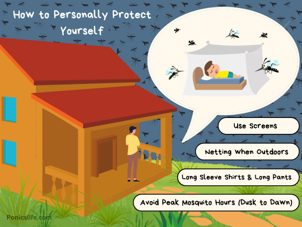 Mosquito Prevention 101: How to Protect Yourself, Your Garden, and Your ...