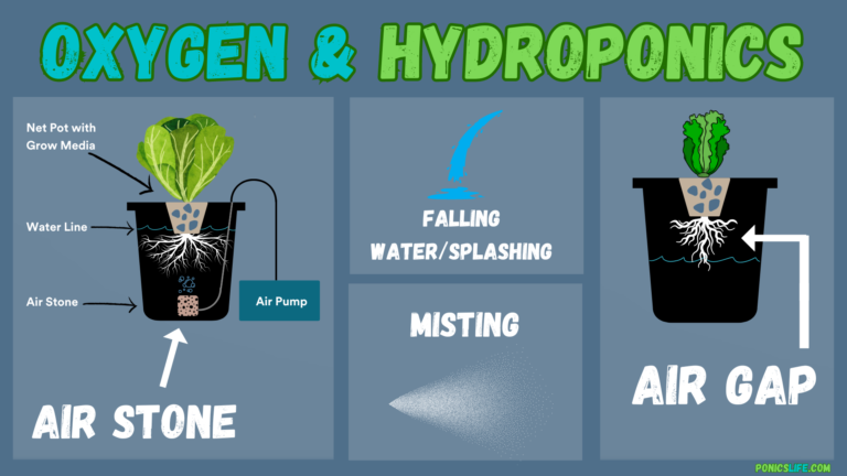 Oxygen and Hydroponics: How to Oxygenate Your System