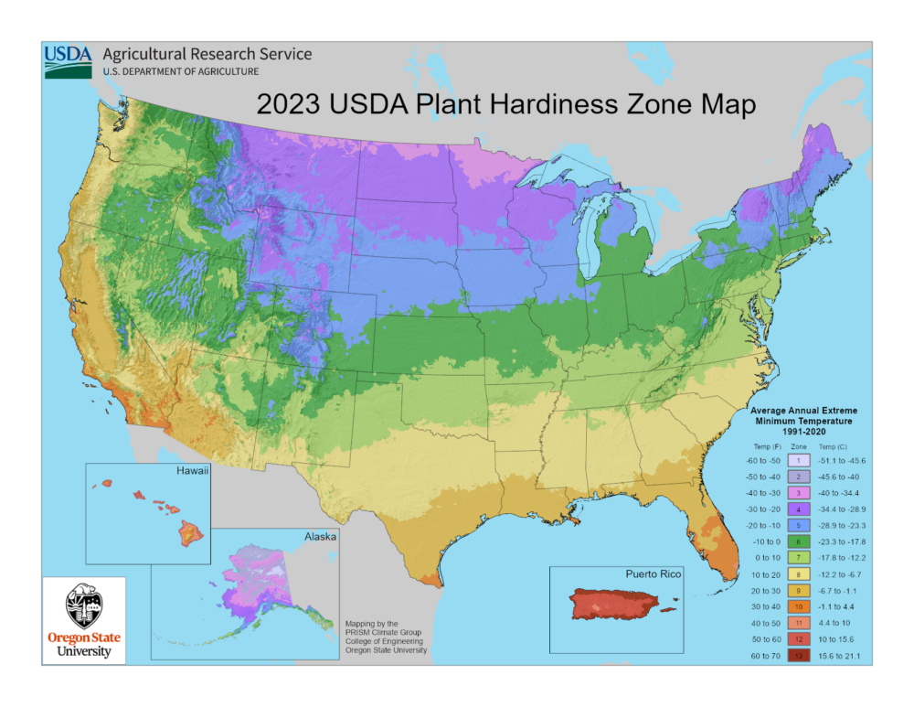 Vegetable Planting Calendars: An Easy Zone and State Garden Guide
