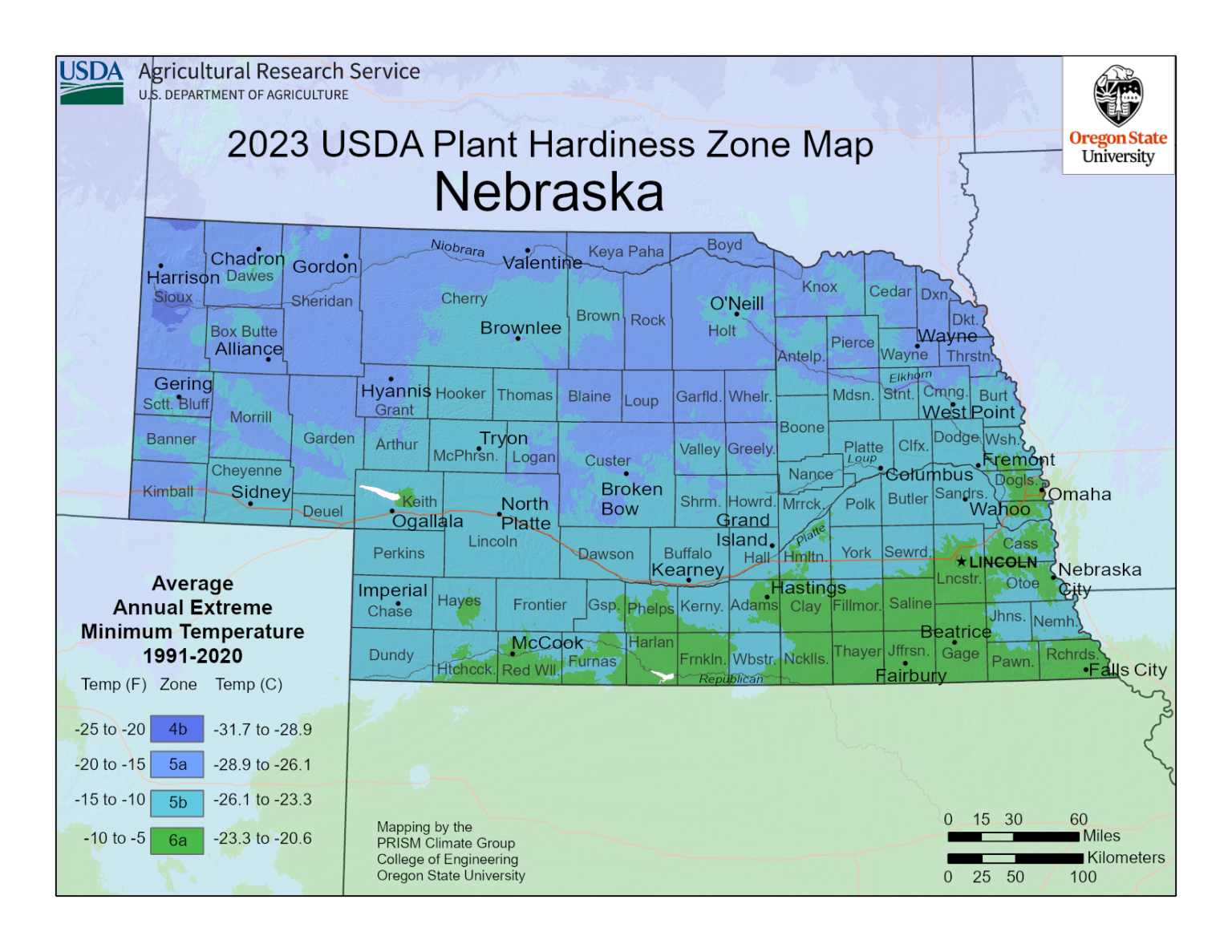 Nebraska Vegetable Planting Calendar: A Quick and Easy Guide