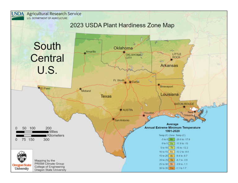 Vegetable Planting Calendars: An Easy Zone and State Garden Guide