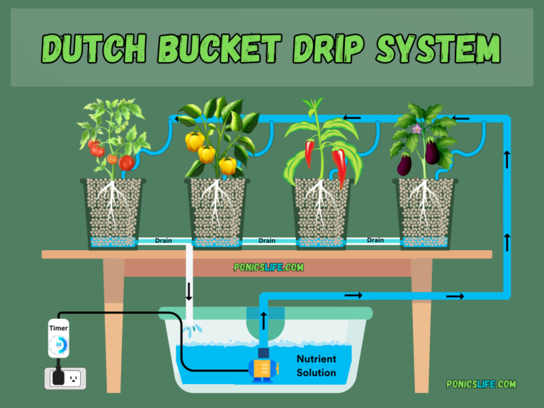 Hydroponic Drip Systems: Everything You Need to Know