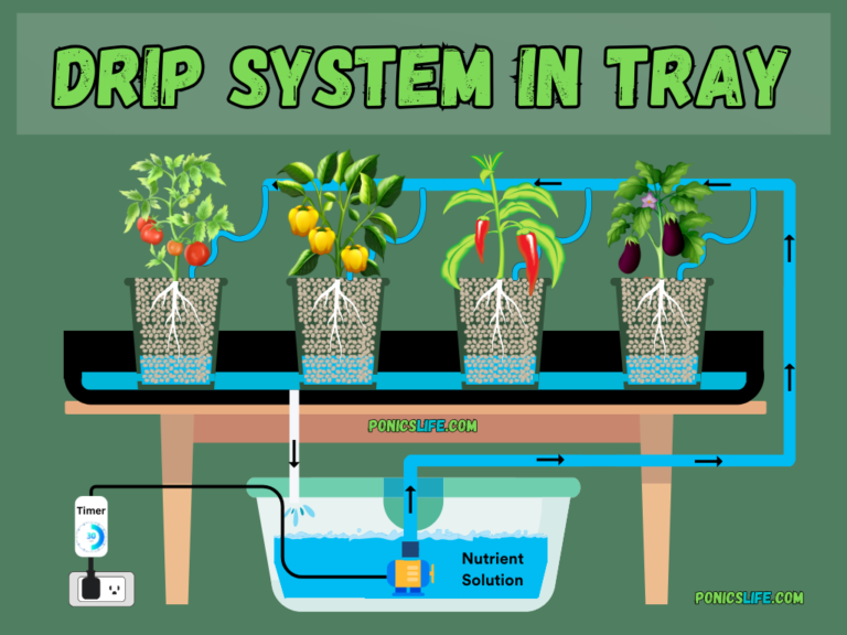 Hydroponic Drip Systems: Everything You Need to Know