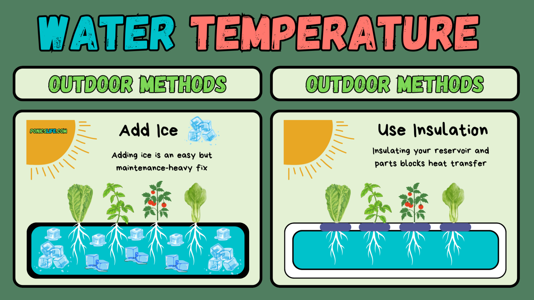 Water Temperature and Hydroponics: How to Regulate Your Reservoir ...
