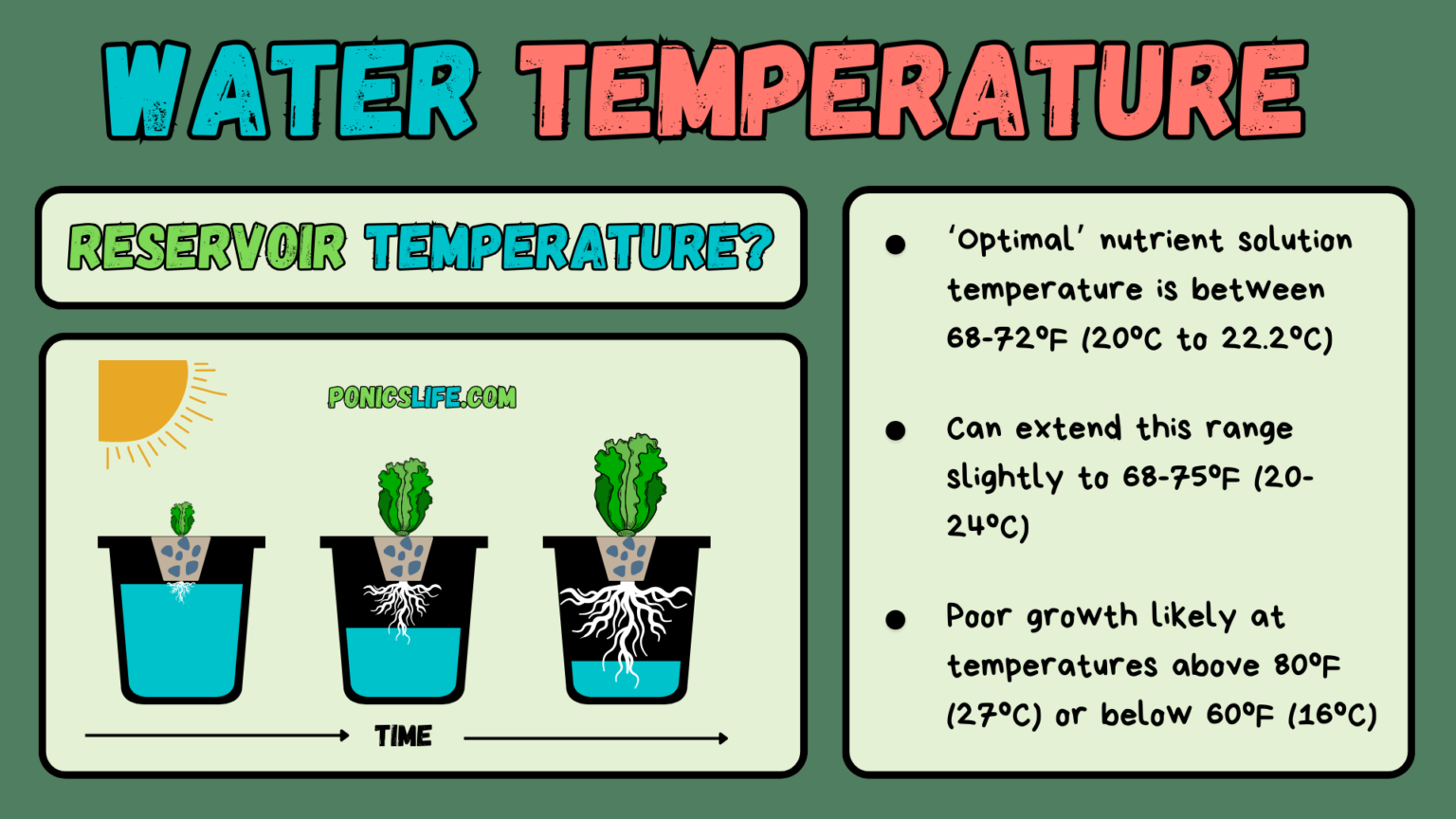 Water Temperature and Hydroponics: How to Regulate Your Reservoir ...