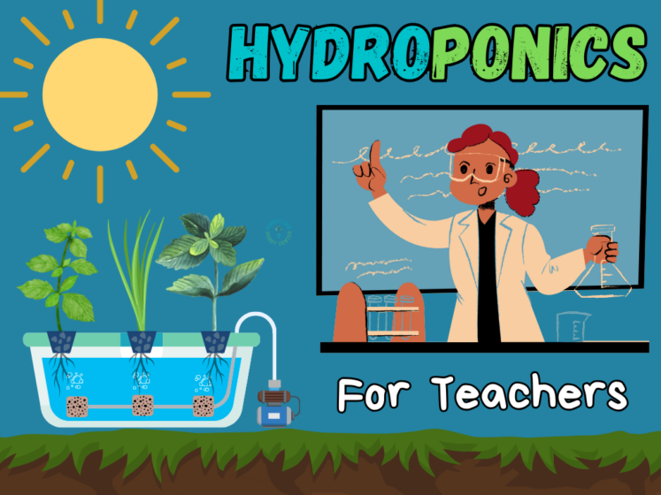 Hydroponics for Teachers: Simple Systems for the Classroom