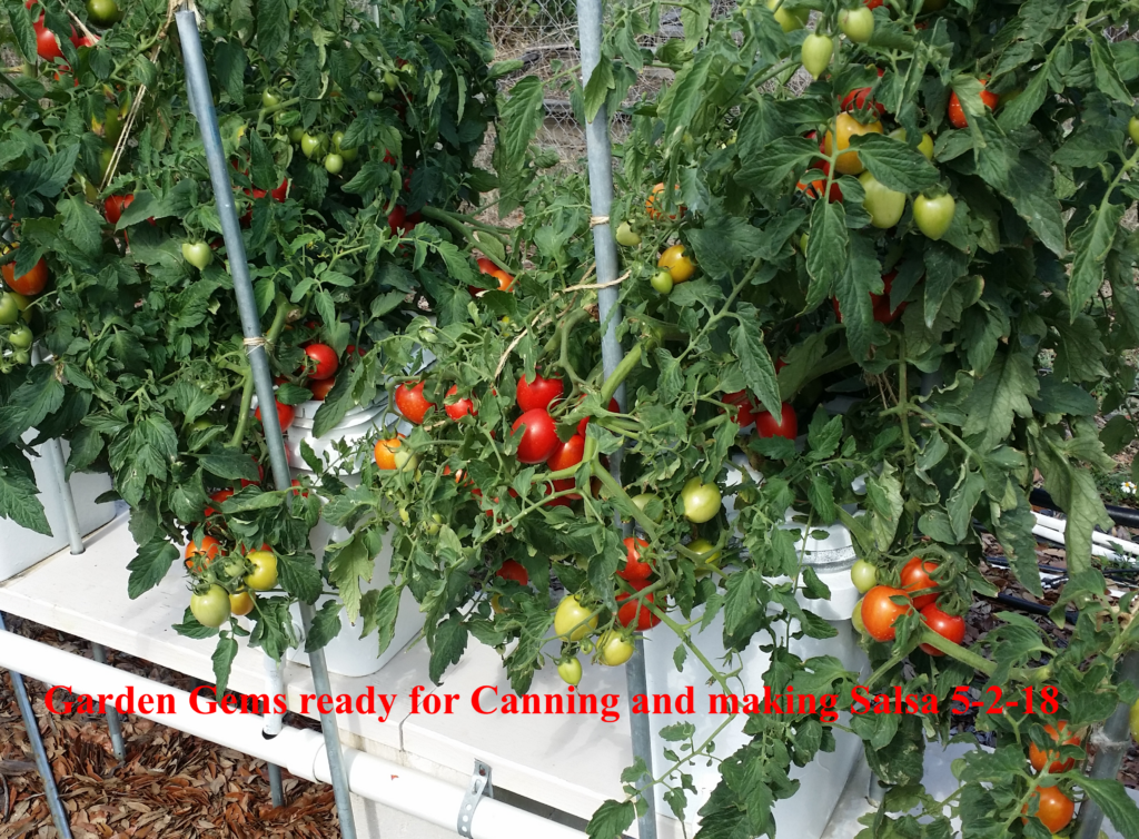 BULK Hydroponic Fertilizer Kit - Ponics Life