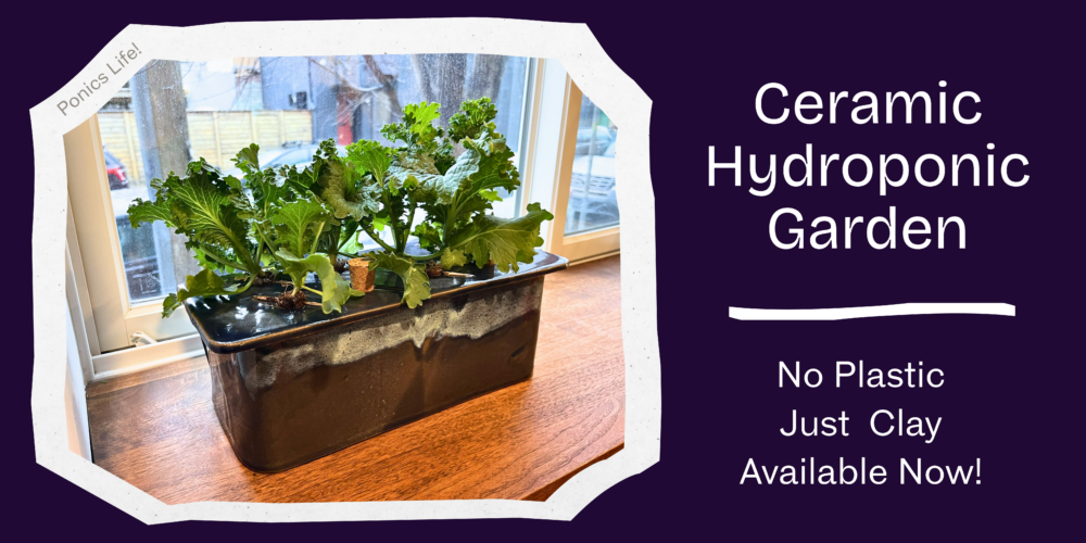 How to Control Algae in Hydroponics: Tips, Tricks, and Expert Solutions